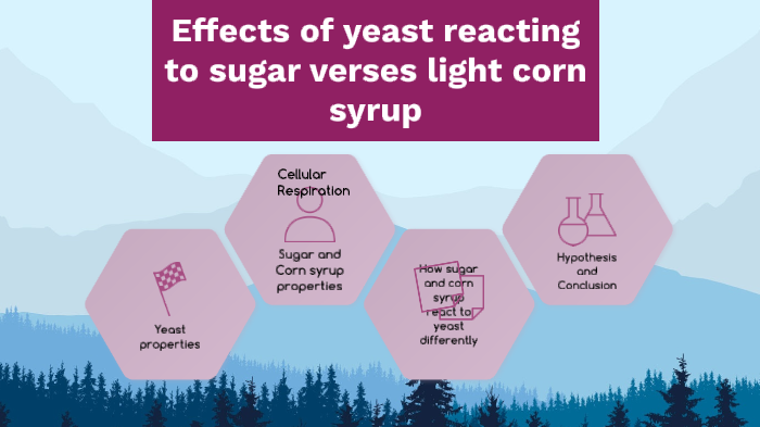 Yeast and Corn Syrup Prezi by Mira Litt on Prezi