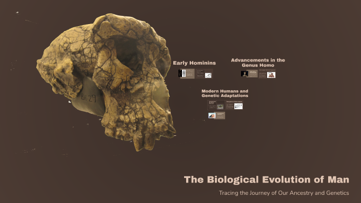 The Biological Evolution of Man Tracing and Genetic by Xena Edelweiss ...