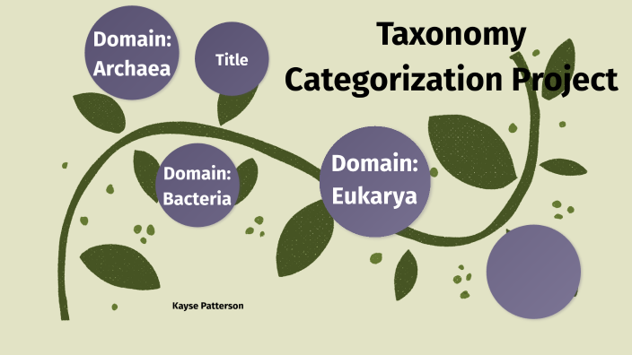 taxonomy categorization project by Kayse Patterson on Prezi