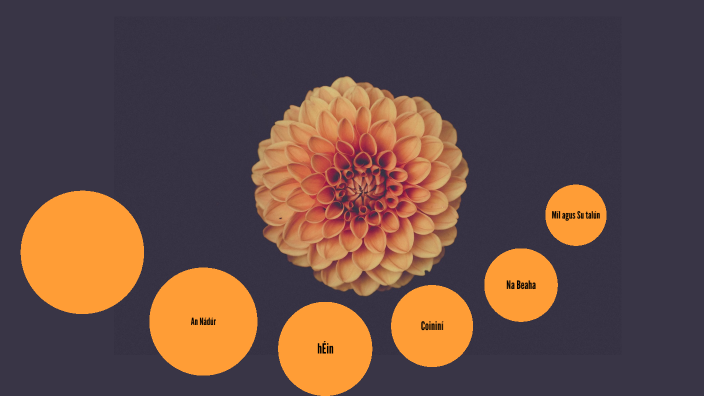 Dán do Lara 10 by Hilary Wills on Prezi