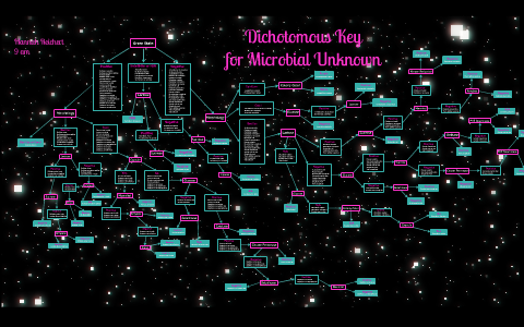 Unknown Key by Hannah Reichert on Prezi