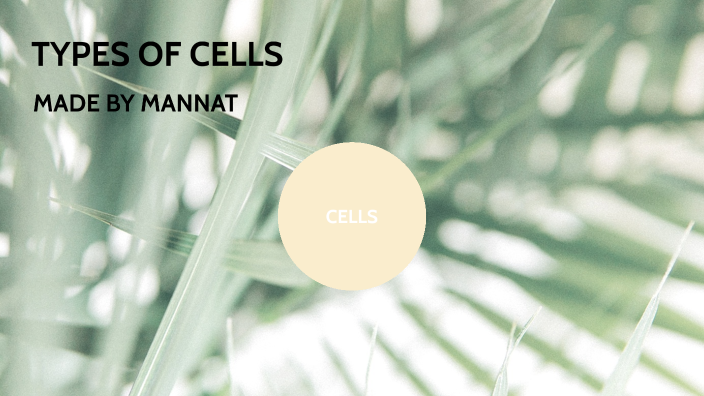 TYPES OF CELLS INFOGRAPHIC by mannat devgan on Prezi