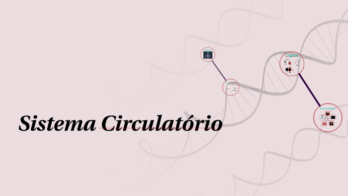 Sistema Circulatório by Jennifer Afonso on Prezi