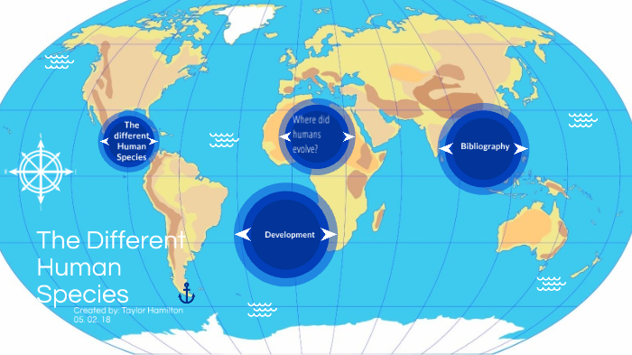 the different human species by Taylor Hamilton