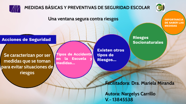 MEDIDAS BÁSICAS DE SEGURIDAD by PC PC on Prezi