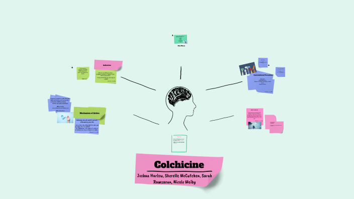 Colchicine by Sarah Ramsaran on Prezi