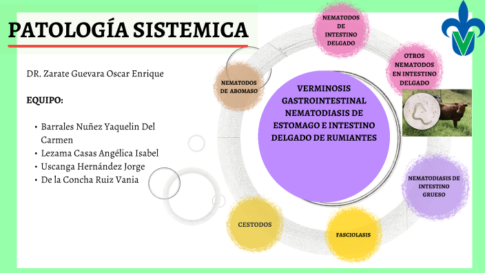 Nematodiasis by Yaque Barrales on Prezi