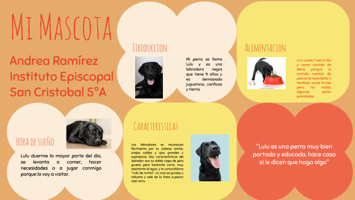 Mi Mascota by Andrea Ramírez on Prezi