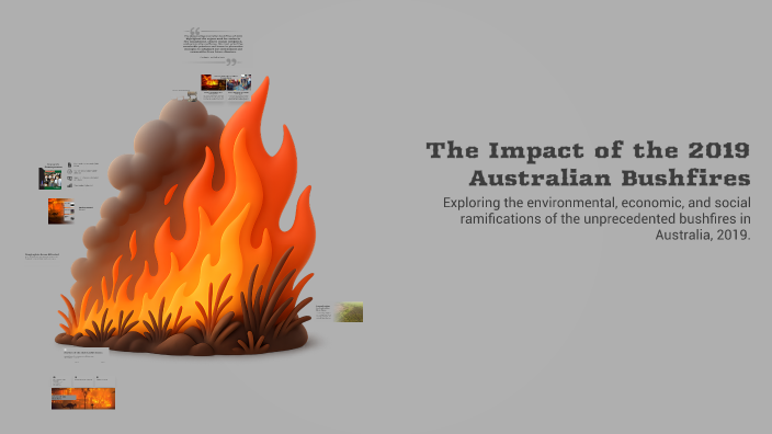 The Impact of the 2019 Australian Bushfires by Grace Prinsen-DeNeire on ...