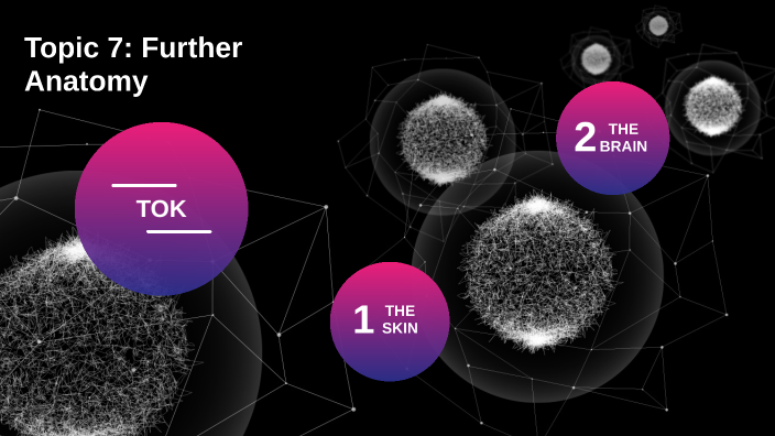 Topic 7 Further Anatomy by Matthew Hillyer on Prezi