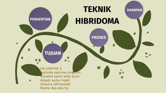 teknik hibridoma by 04. Aisyah Aulia majid on Prezi