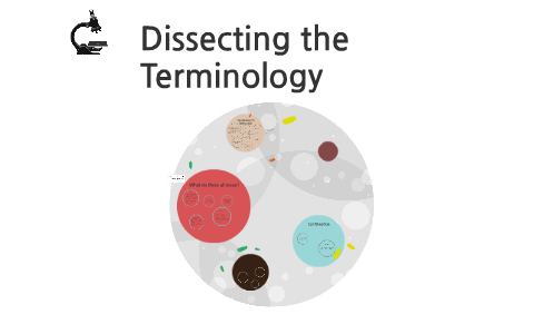 Dissecting the Terminology by Alina Forrest on Prezi