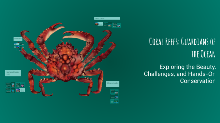 Coral Reefs: Guardians of the Ocean by Leah Cifers on Prezi