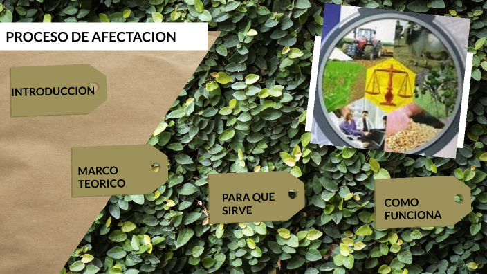 PROCESO DE AFECTACION AGRARIA by dayanara aquino on Prezi