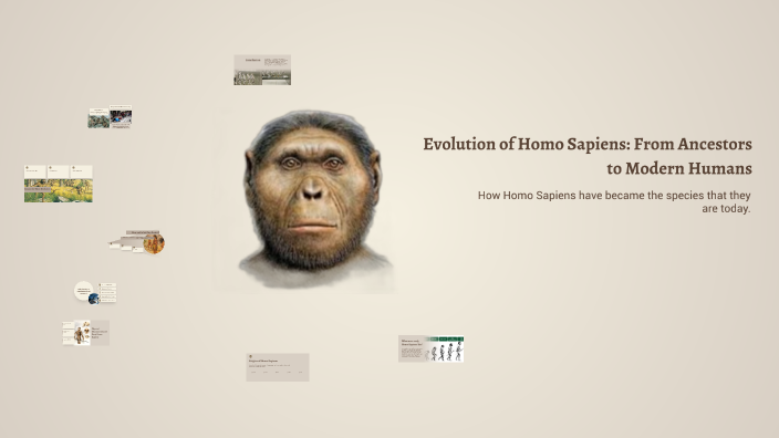 Evolution of Homo Sapiens: From Ancestors to Modern Humans by Kannon ...