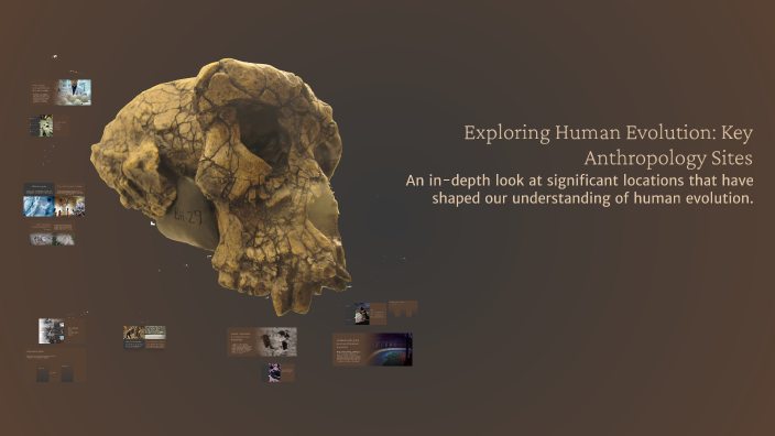 Exploring Human Evolution: Key Anthropology Sites by Beylul Mahangel on ...