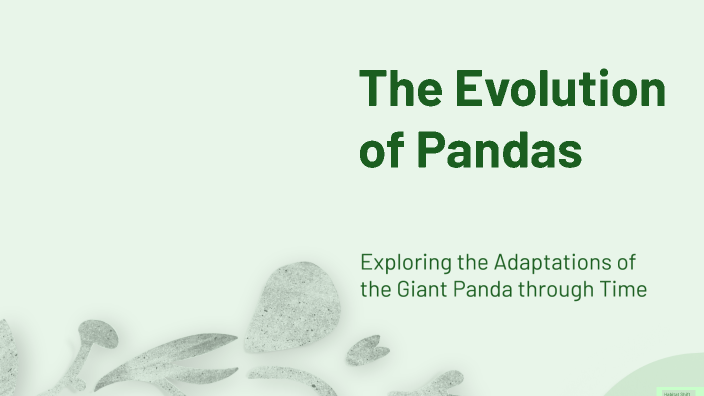 The Evolution of Pandas by Fevi Balala on Prezi