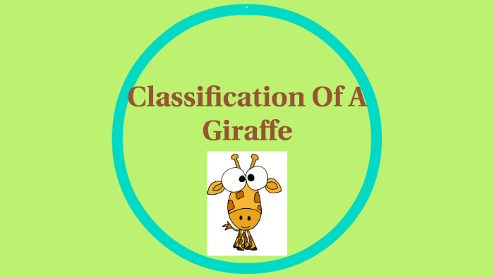 Classification Of A Giraffe by Alyssa Lujan on Prezi