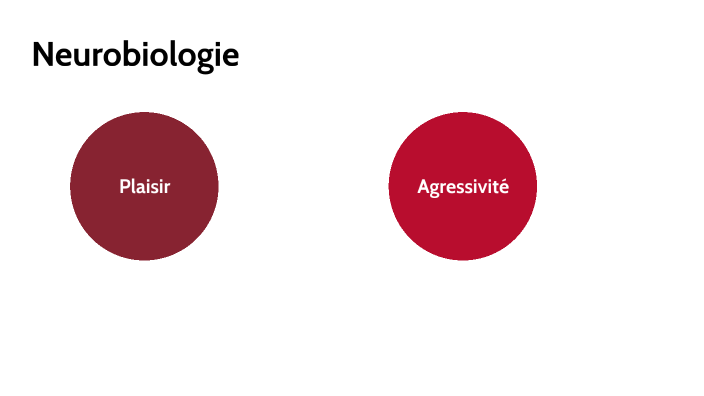 neuro by Valentine perret on Prezi