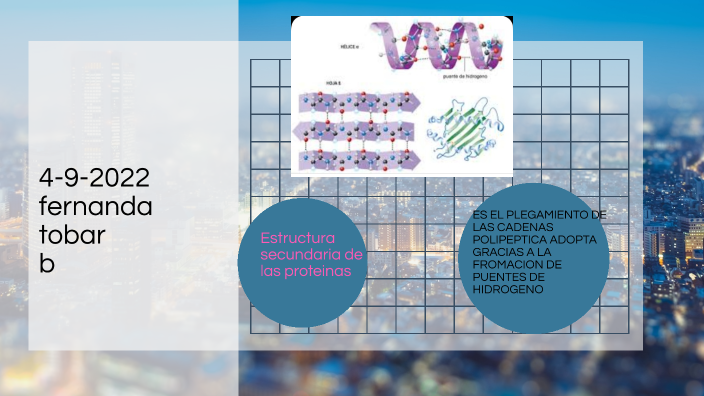 ejercicio 4 maria fernanda tobar yool 4to biologia by Tobar Yool María ...