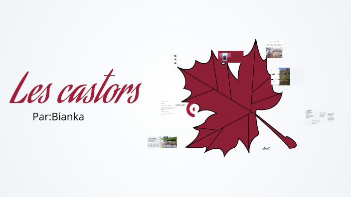 The Canadian Beaver: A National Symbol by Bianka Hidalgo on Prezi