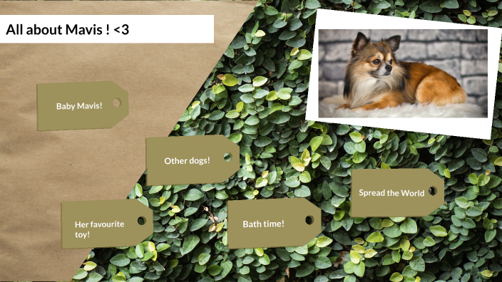 Megan & Mavis by claire culshaw on Prezi