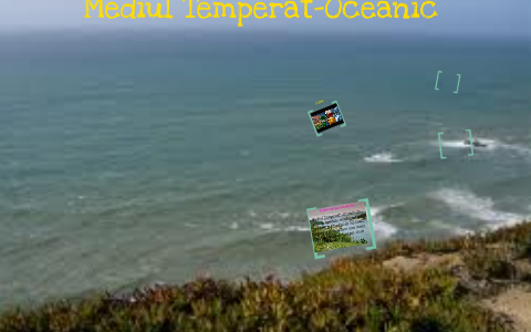 Mediul temperat-oceanic by Andreea Gabriela on Prezi