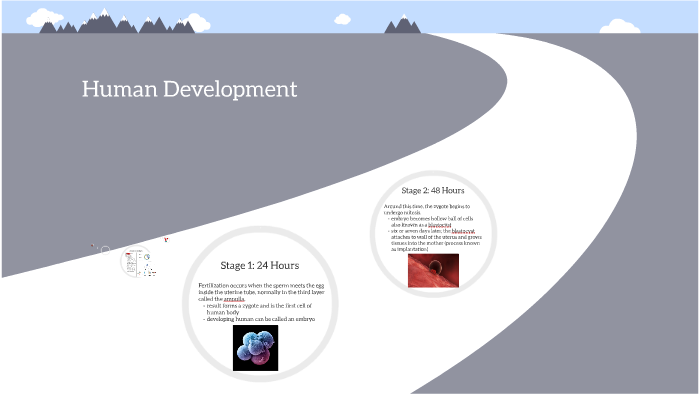 Human Development Timeline by ethan tai on Prezi