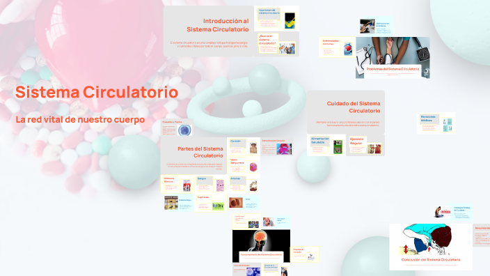 Sistema Circulatorio by Leidy Uribe on Prezi