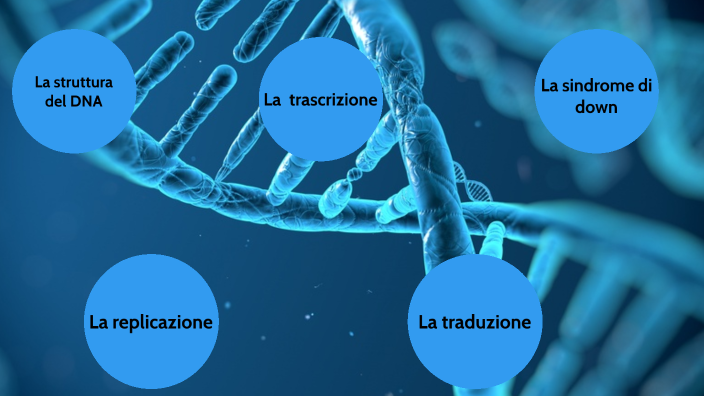 Il DNA by Alice Sanchioni on Prezi