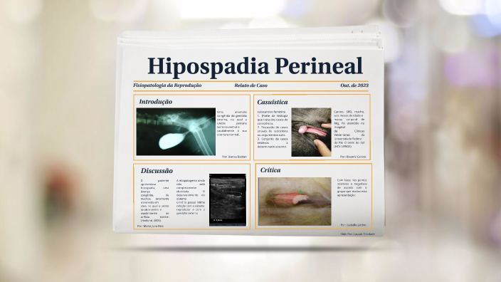 Hipospadia Perineal by Lauani Trindade on Prezi