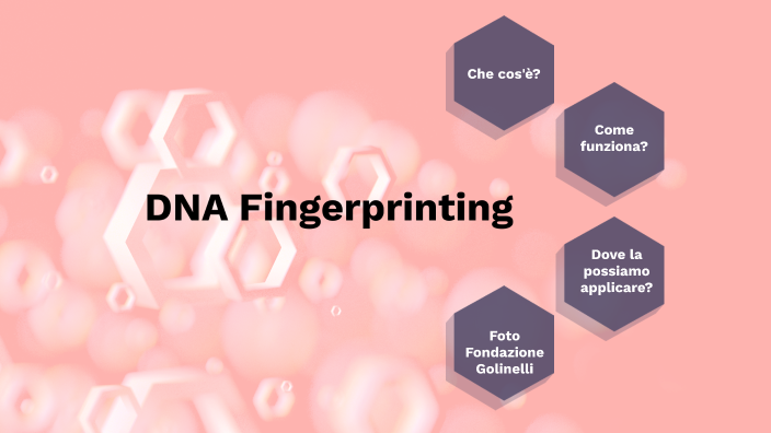 DNA Fingerprinting by TOMMASO ARDUINI on Prezi
