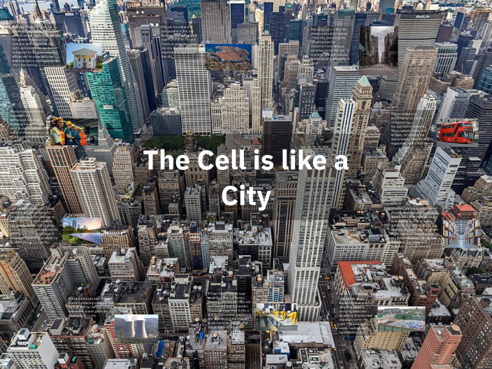 The cell is like a city by Riley Brogan on Prezi