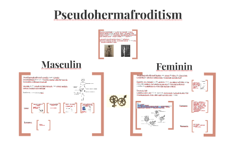 Pseudohermafroditism by Ioana B on Prezi