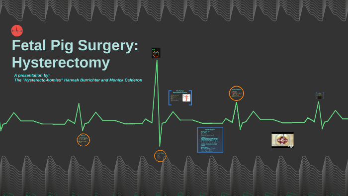 Fetal Pig Surgery: by Monica Calderon on Prezi