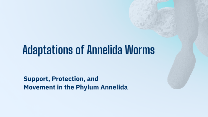 Adaptations of Annelida Worms by grahm bertram on Prezi