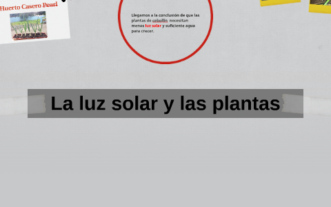 La luz solar y las plantas by Bianca Rivera on Prezi