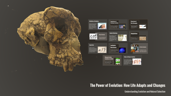 The Power of Evolution: How Life Adapts and Changes by Matthew O'Donaghey (STUDENT) on Prezi