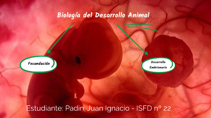 Biologia Del Desarrollo