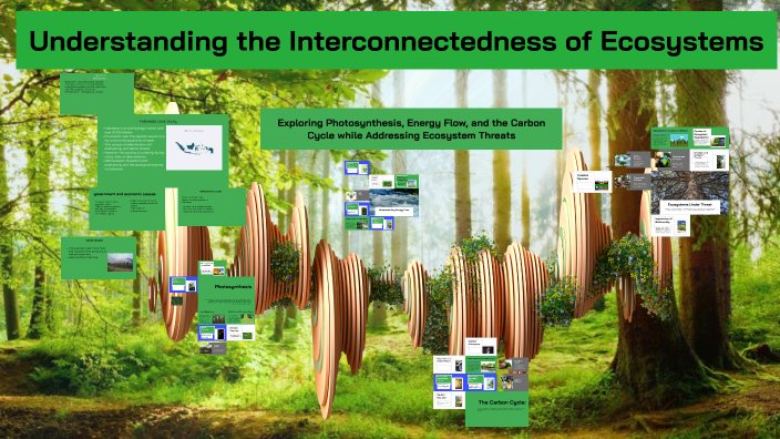Understanding the Interconnectedness of Ecosystems by Hridhan Shah on Prezi
