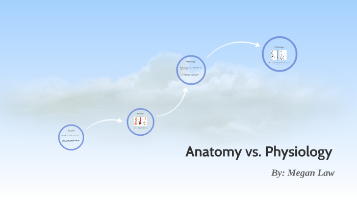 Anatomy Vs Physiology By Megan Law On Prezi
