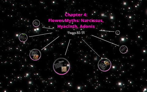 Mythology; Flower-Myths: Narcissus, Hyacinth, Adonis by Veronica ...