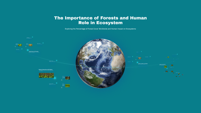 The Importance of Forests and Human Role in Ecosystem by DR.SHILPA S ...