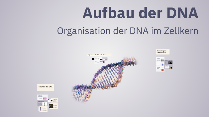 Aufbau der DNA by Grietje Billep on Prezi