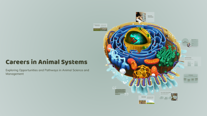 Careers in Animal Systems by Cooper James on Prezi