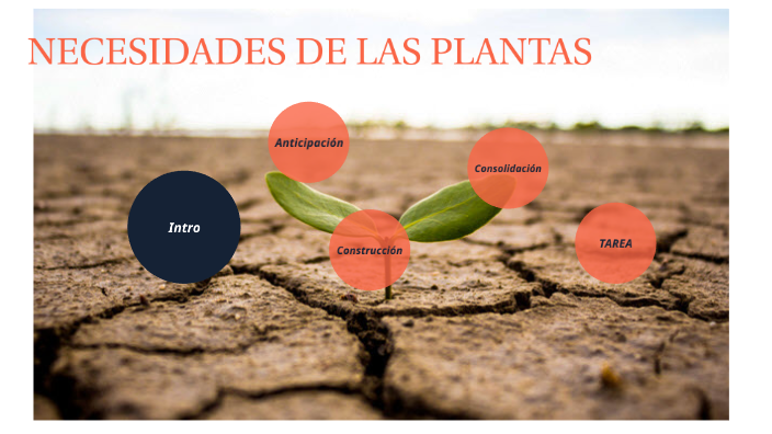 U2-T2: NECESIDADES DE LAS PLANTAS by 2dobasica 2do on Prezi
