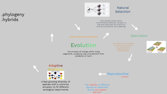 APBIO Evolution Concept Map by Jackson Jorstad on Prezi