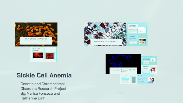 Sickle Cell Anemia: Genetic and Chromosomal Disorders Research Project ...