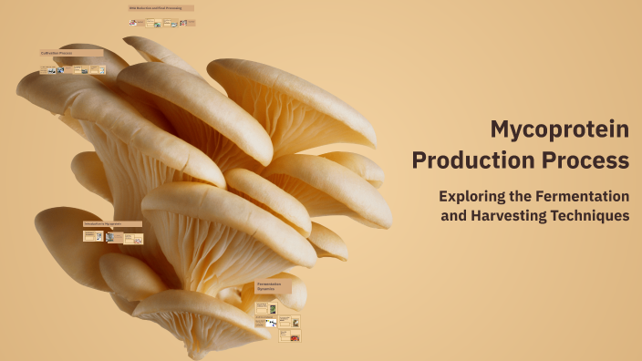 Mycoprotein Production Process by Büşra Karaca on Prezi