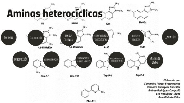 Aminas heterocíclicas by andrea rodriguez on Prezi